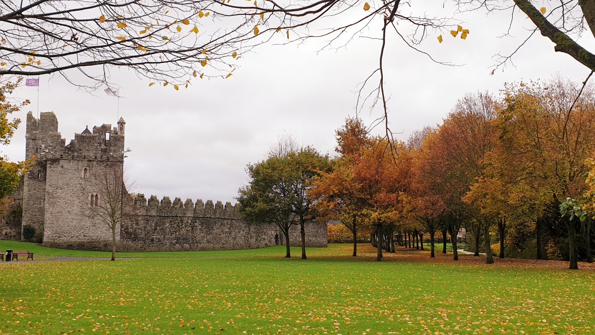 Swords Tidy Towns – Making Swords a better place to live