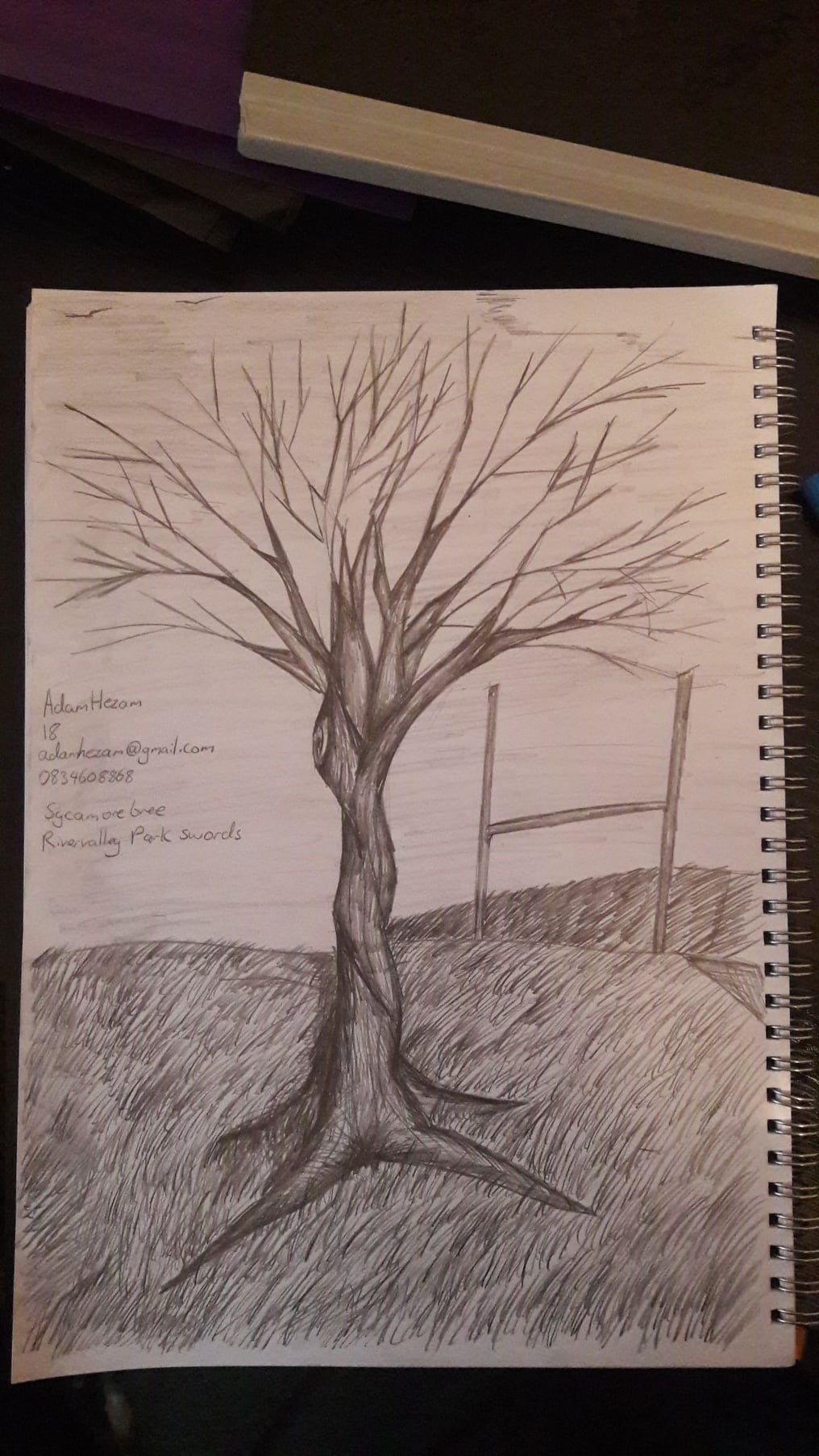 Tree Art Competition – Swords Tidy Towns