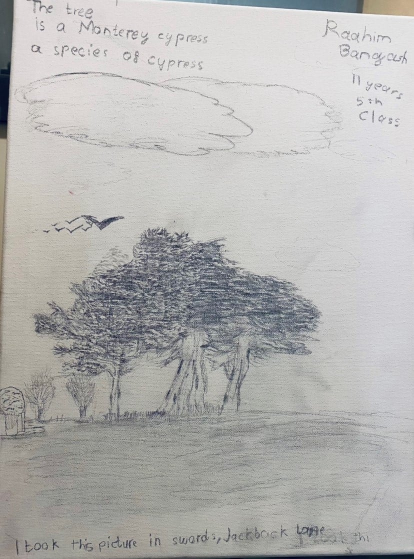 Tree Art Competition – Swords Tidy Towns