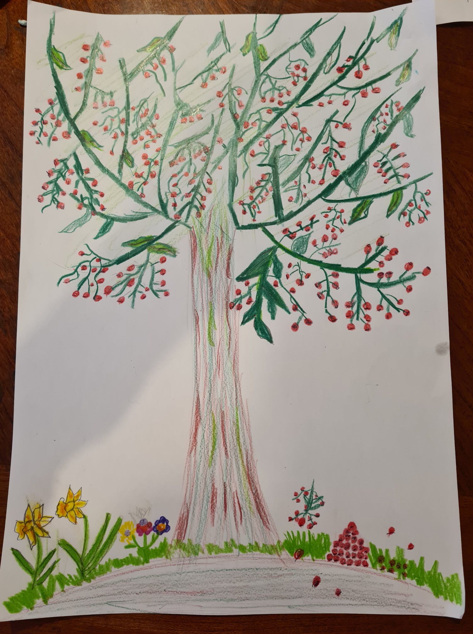 Tree Art Competition – Swords Tidy Towns