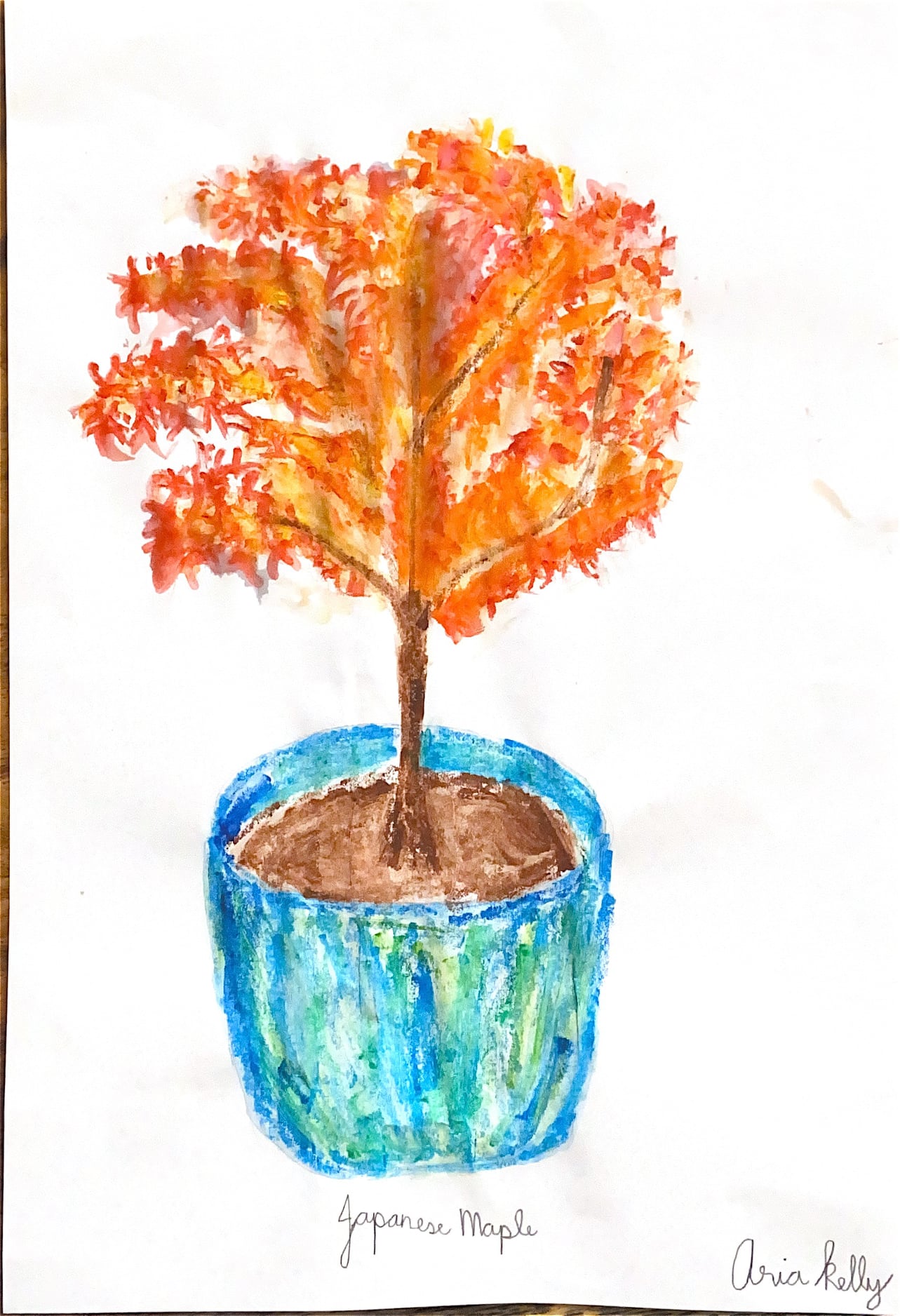 Tree Art Competition – Swords Tidy Towns