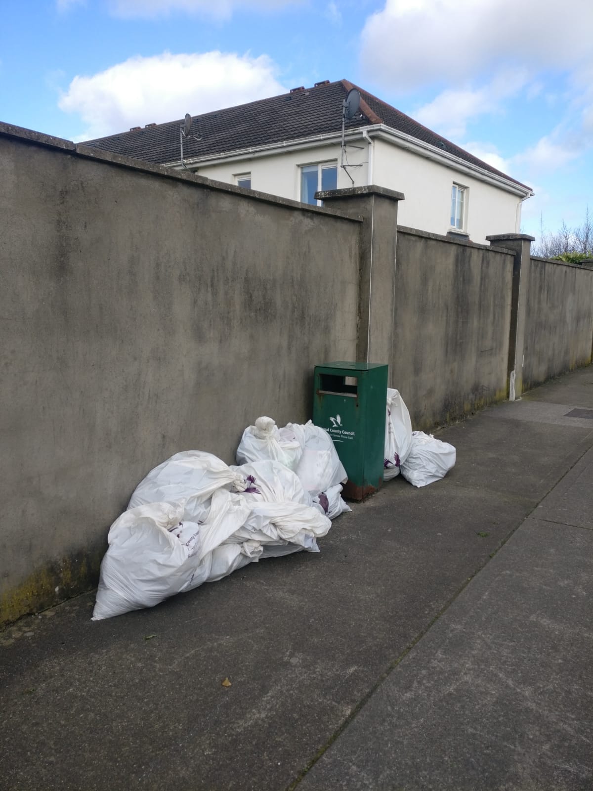 Clean-up at Holywell Estate – Swords Tidy Towns