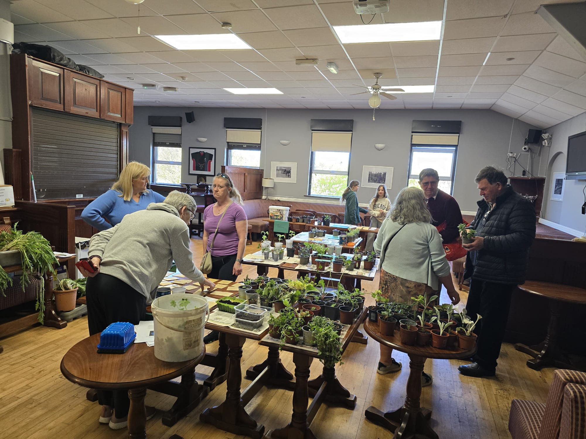 Seed & Plant Share/Swap – Swords Tidy Towns